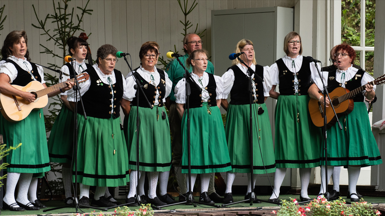 Yodel-oh-ee-dee-oh-dee: как появился йодль - Звук